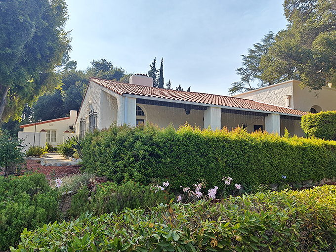 The Krotona Library's rose garden combines intellectual pursuits with sensory pleasures – a place where both minds and flowers bloom.