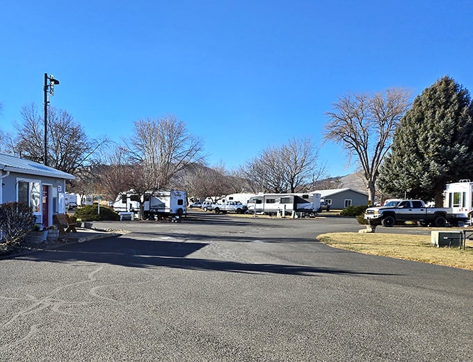 The RV Resort welcomes road warriors with level spots and mountain views &ndash; proving "roughing it" doesn't have to involve actual roughness.