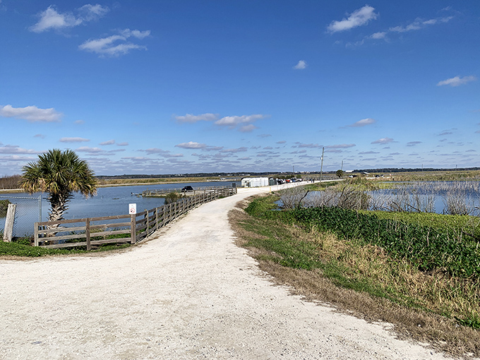 The white shell path beckons adventurers forward. Less "yellow brick road" and more "follow me to see something amazing."