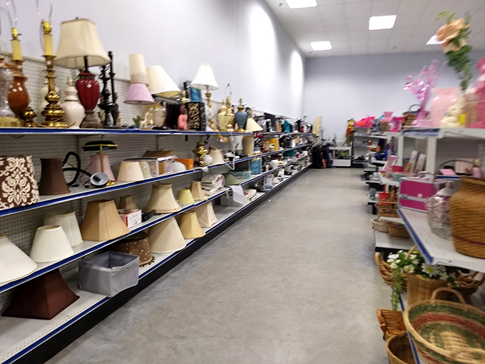 Lamp heaven! Where lighting fixtures of questionable taste get second chances and vintage lampshades find new homes with ironic millennials and practical retirees alike.