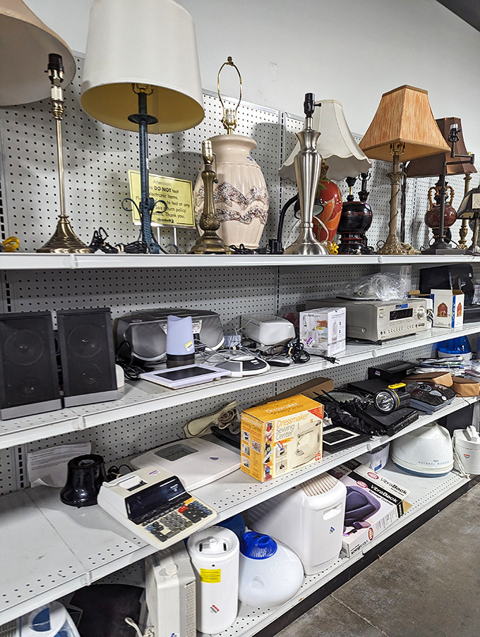 Lamps that once illuminated family dinners and bedtime stories now stand ready for their second act in your living room.