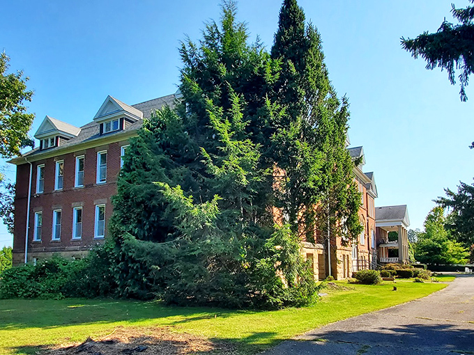 Sunlight bathes the seminary grounds, momentarily dispelling the building's spooky reputation with a deceptively peaceful summer glow.