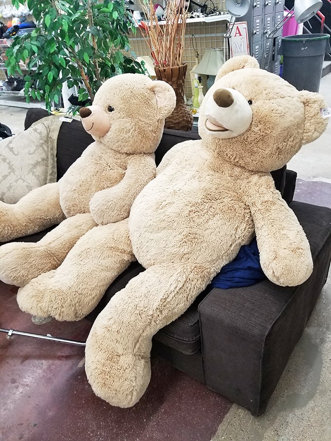 These oversized teddy bears have seen things. Now lounging on a secondhand couch, they're ready for their next cuddle adventure.