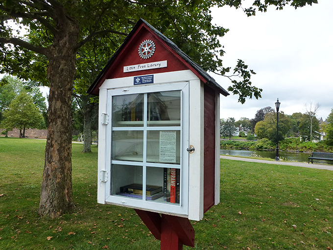 Little Free Libraries prove the best things in life really are free, including good books and community spirit.