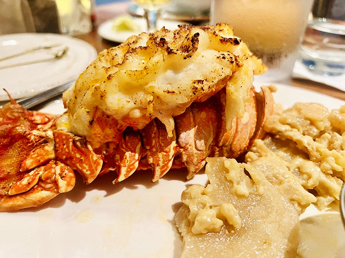 This lobster tail isn't just dinner&mdash;it's a celebration on a plate. Sweet meat perfectly prepared alongside creamy sides makes for an unforgettable feast.