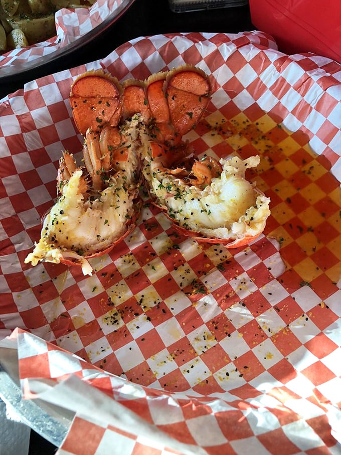 Split lobster tail revealing its tender secrets. Like finding an unexpected twenty in your winter coat pocket, this seafood surprise makes any day instantly better. 