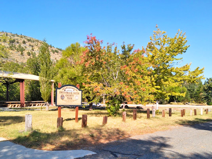 Loyalton Rotary Park: Where trees don't need Instagram filters and picnic tables aren't trying to be "rustic-chic"&mdash;they're just genuinely rustic.