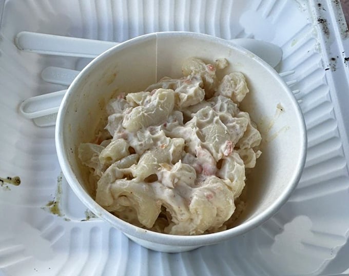 Macaroni salad that would make your grandmother nod in approval. Creamy, comforting, and unapologetically simple.