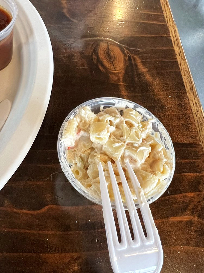 Macaroni salad that's achieved the perfect balance of creamy and tangy. The plastic fork is merely a formality at this point.