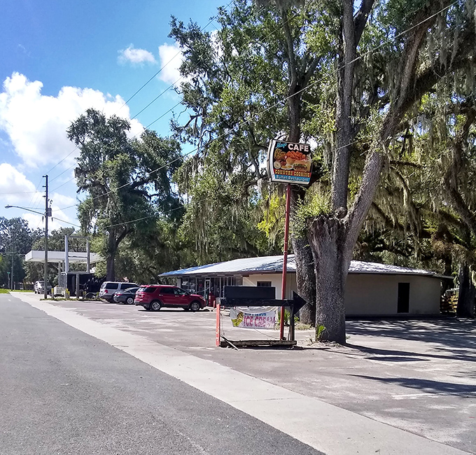 Mayo Cafe serves up the kind of honest breakfast that fuels farmers, retirees, and visitors alike&mdash;where coffee refills come with local gossip at no extra charge.