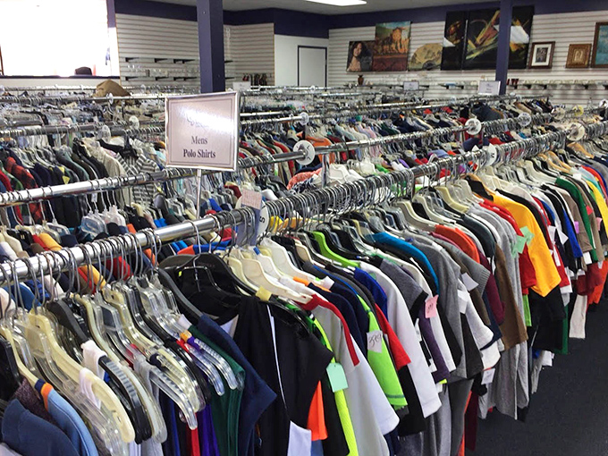 Men's shirts lined up like colorful soldiers, ready to march into your closet and revolutionize your Monday meetings.