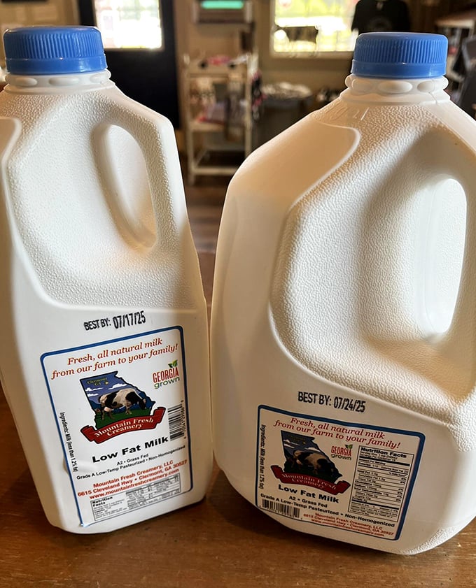 Milk bottles that remind you what dairy looked like before it needed fifteen preservatives and a chemistry degree to understand the label.