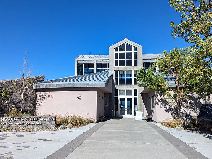 The Mono Basin Visitor Center &ndash; architectural proof that information centers don't have to look like they were designed by the DMV.