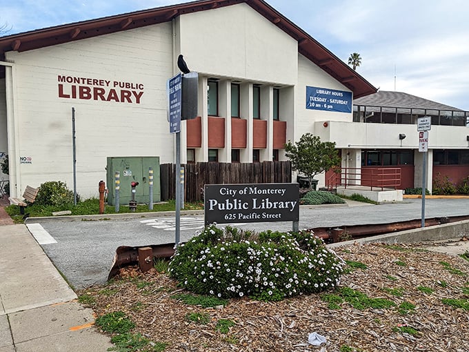 The Monterey Public Library offers literary refuge when coastal fog rolls in. Because sometimes the best vacation stories are the ones you read.