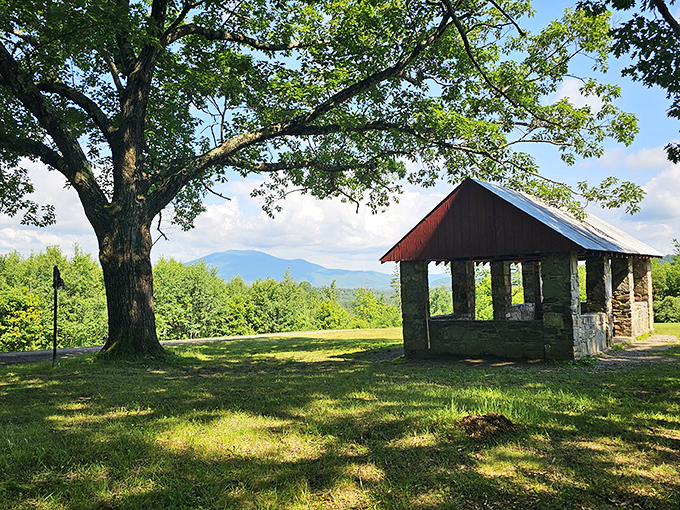 Moody Park's rustic shelter frames mountains that have witnessed generations of picnics, proposals, and peaceful retirement afternoons.