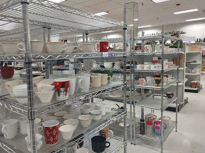 The mug section &ndash; where coffee vessels of every shape and size stand at attention, ready for their next morning duty.