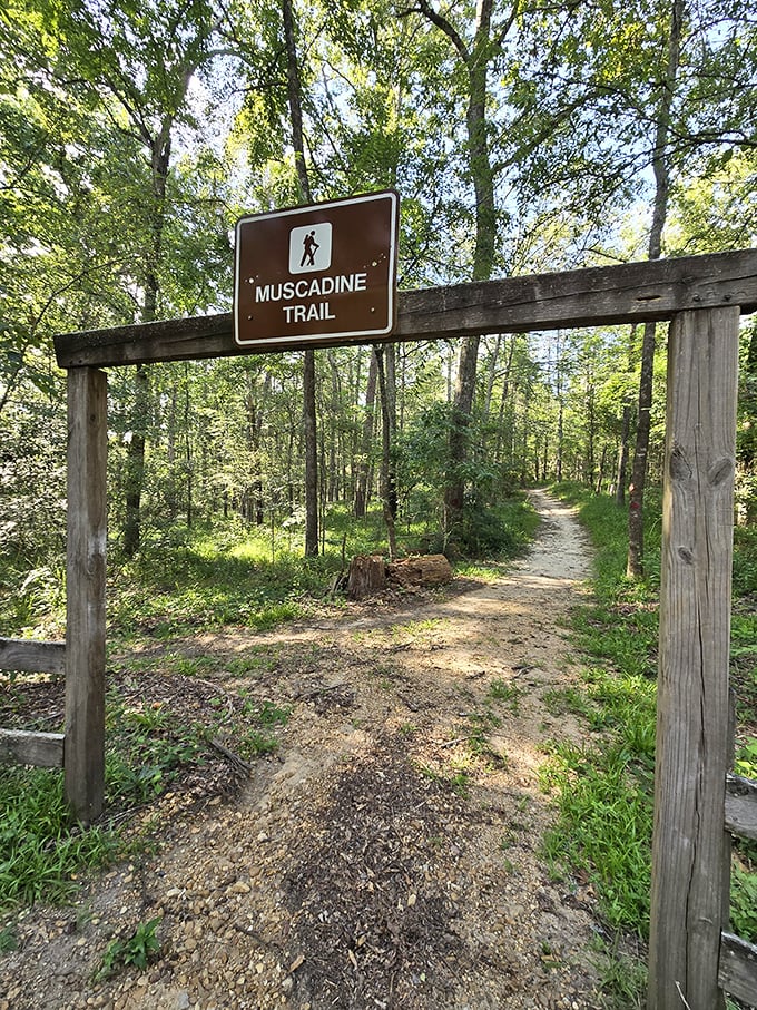 The Muscadine Trail promises a journey through Mississippi's natural splendor, no passport required.