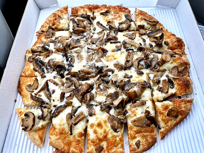 A mushroom lover's dream pizza, where fungi take center stage. The golden cheese and perfectly saut&eacute;ed mushrooms create a woodland feast on dough.