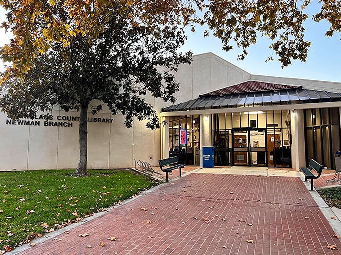 The Newman Library &ndash; where retirement reading lists come to life and the air conditioning is always set to "perfect browsing temperature."