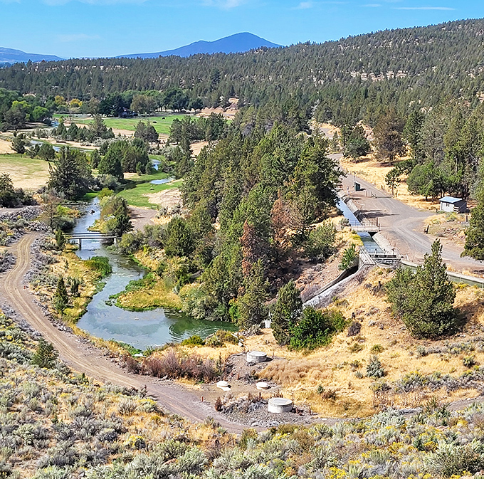 The Crooked River winds through the landscape like nature's own lazy river attraction, minus the chlorine and questionable inner tubes.