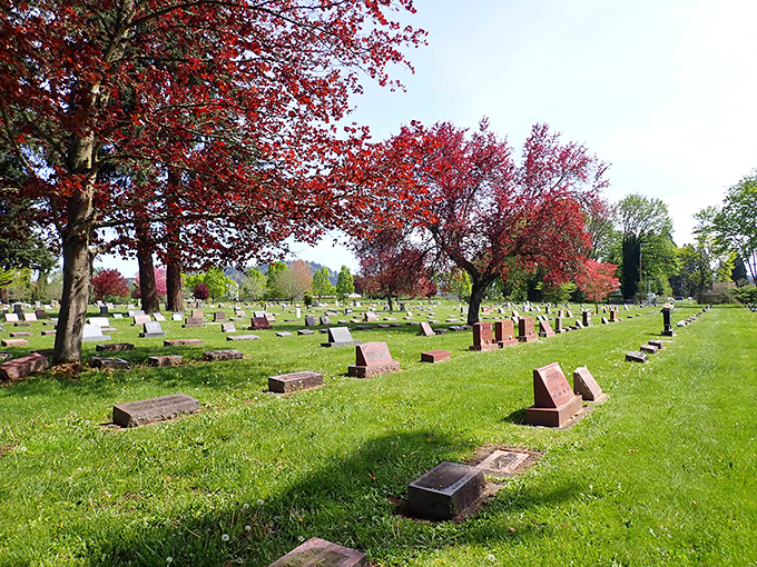 Odd Fellows Cemetery in Oregon feels peaceful and serene, with colorful trees and gentle sunlight creating a beautifully quiet resting place.