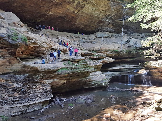 Old Man's Cave showcases the same geological drama that makes Hocking Hills special. Like Cedar Falls' geological cousin with its own personality quirks.