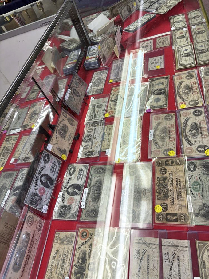 Currency as collectible art. These bills have seen more history than your high school textbook ever covered.