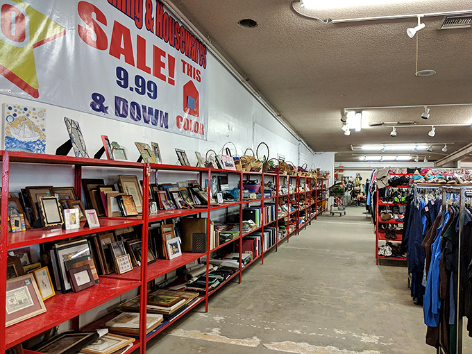 The art gallery of the everyday – where forgotten family portraits and mass-produced prints wait for new walls to call home.