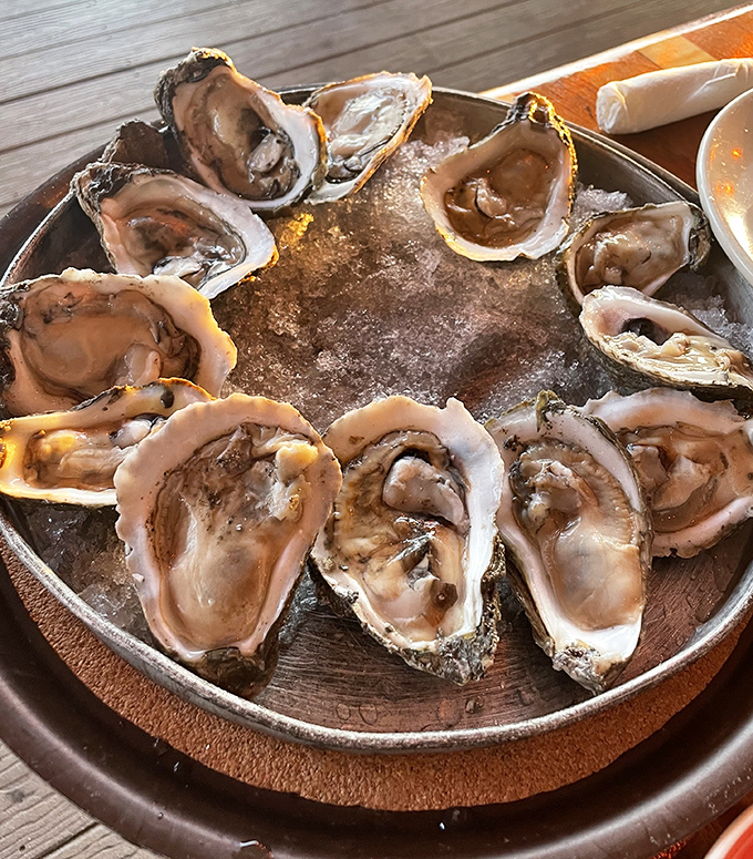 These oysters aren't just served&mdash;they're presented like the coastal jewels they are, ready for a squeeze of lemon.