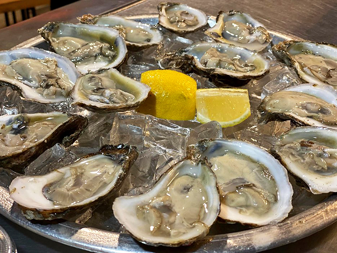 These glistening oysters on ice are like little treasures from the sea, waiting to deliver their briny magic with each slurp.