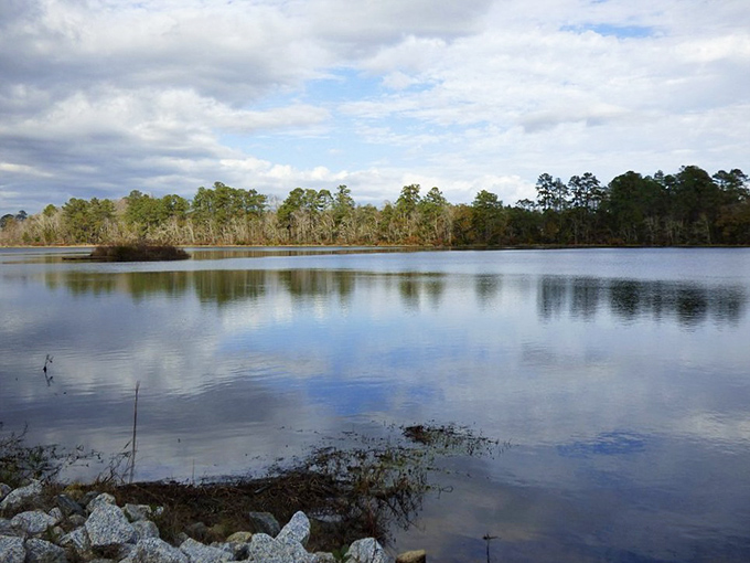 The still waters reflect clouds like a painter's canvas. Even on overcast days, this view delivers pure South Carolina magic.
