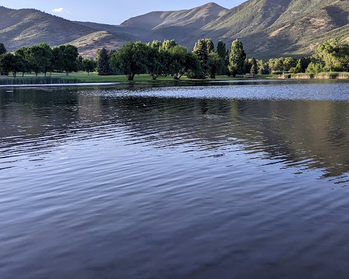 Evening light turns this pond into liquid gold, proving that Mother Nature remains the world's most talented lighting designer.