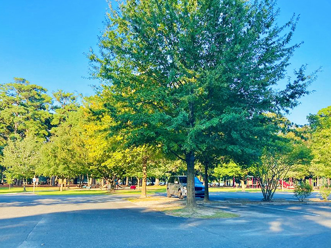 The park's entrance welcomes visitors with well-maintained grounds and trees that seem to whisper, "Slow down, you've arrived."