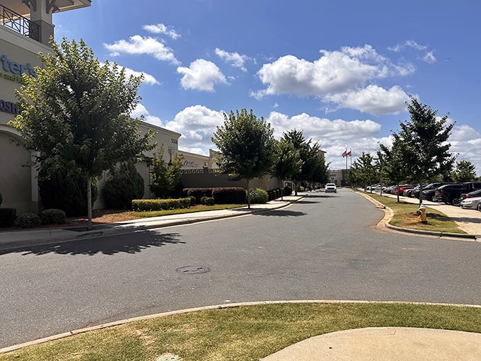 Perfectly landscaped pathways that guide you from splurge to splurge, with strategically placed benches for when your wallet needs a breather.