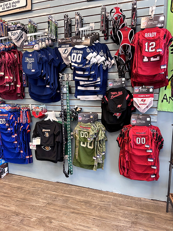 Tampa Bay sports jerseys for fans who bleed red and pewter, plus Lightning gear for hockey devotees everywhere.