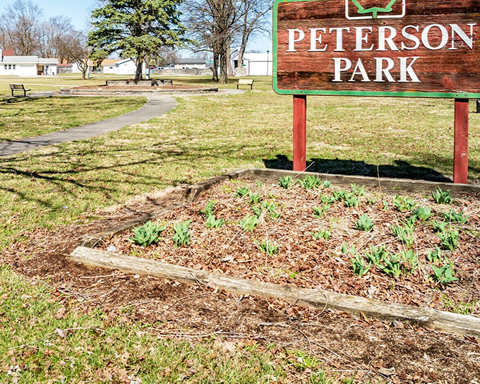 Peterson Park offers a green respite where spring flowers peek through mulch, promising community gatherings and summer concerts to come.