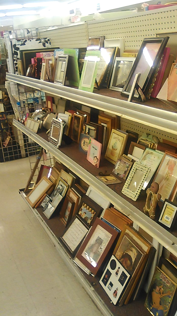 Frame after frame, each one waiting to showcase someone's memories. That ornate gold one could make even a grocery list look like a masterpiece.