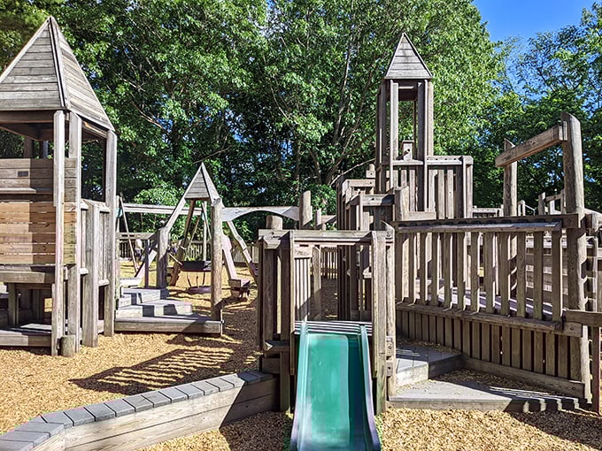 Planet Playground's wooden wonderland proves that childhood adventure doesn't need batteries or Wi-Fi&mdash;just imagination and the occasional slide for quick escapes.
