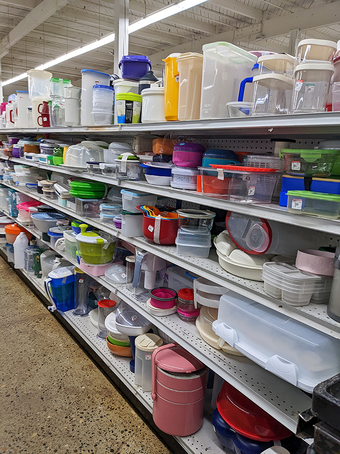 Food storage paradise: where Tupperware parties of the past have sent their plastic descendants to find new kitchens to organize.