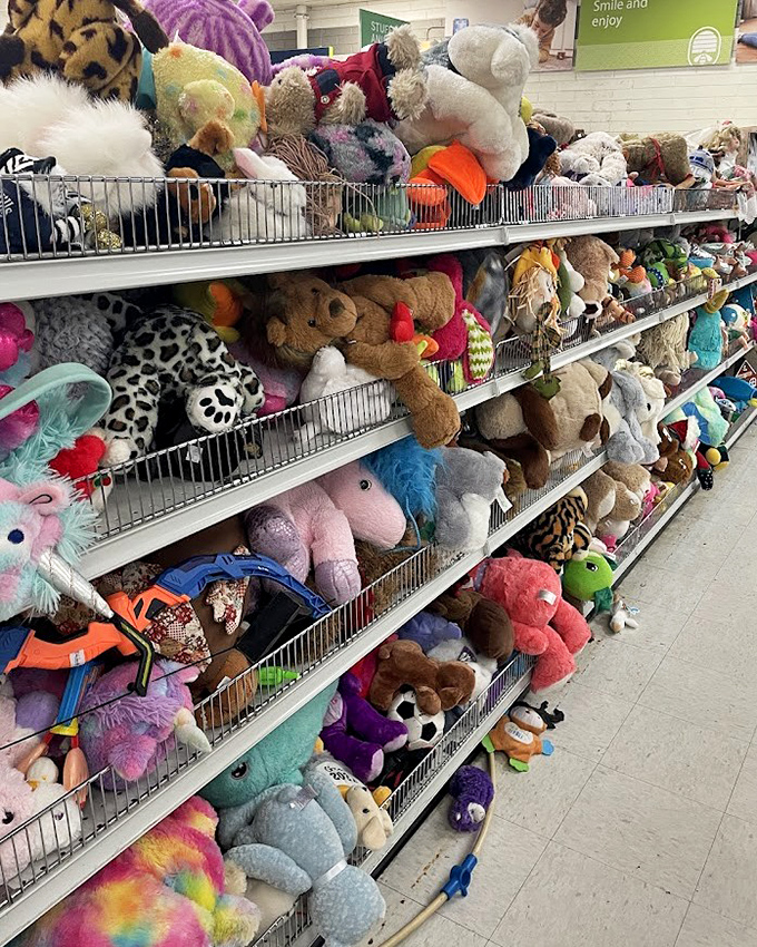 Stuffed animal nirvana! Each plush creature waits for its forever home, like an adoption center for toys with stories to tell and cuddles to give.