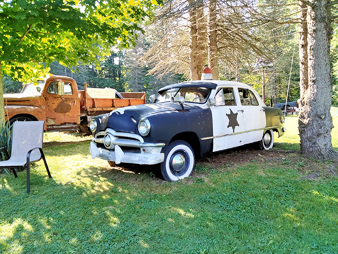 Vintage vehicles find new purpose as art installations. This old police cruiser stands guard, eternally on duty in this outdoor museum of automotive nostalgia.