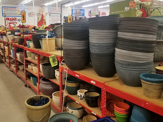 Garden pot nirvana &ndash; where your houseplant addiction becomes surprisingly affordable and "just one more plant" seems entirely reasonable.