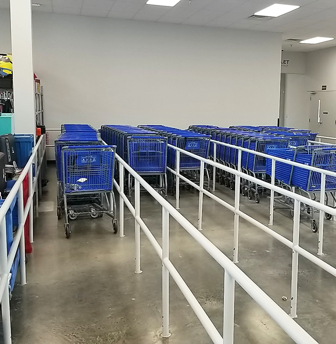The chariots await their knights of thrift &ndash; empty carts standing ready for the next wave of bargain crusaders.