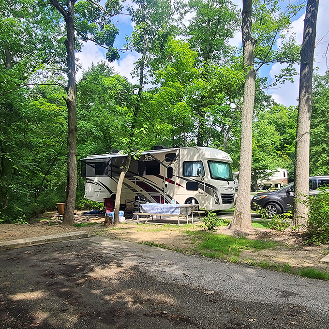 RV life at Punderson: where "roughing it" means your espresso machine runs on generator power and squirrels become your neighbors.