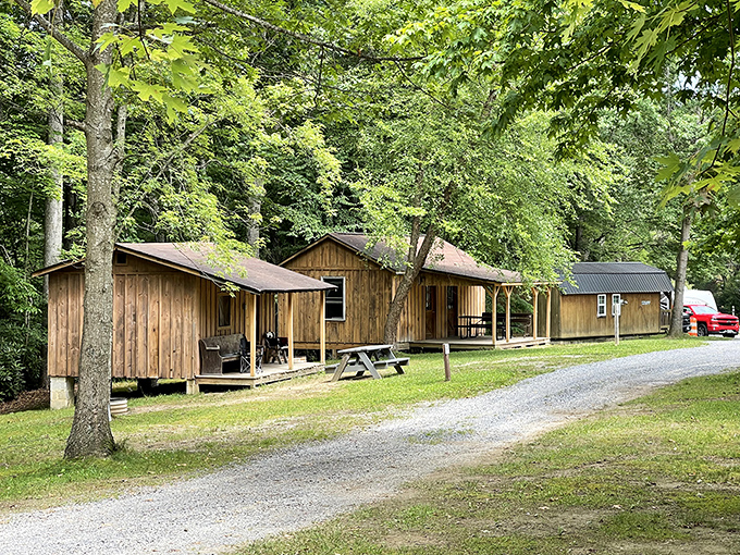 Rustic cabins nestled among towering trees offer the perfect middle ground between roughing it and comfort &ndash; camping with actual walls.