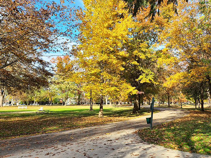 Ritter Park's autumn transformation turns everyday joggers into accidental poets. Those golden leaves create the kind of scene that makes smartphone photographers feel like artists.