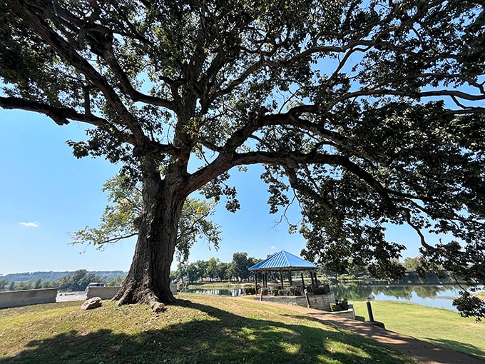 That magnificent oak has witnessed generations of Batesville residents enjoying picnics by the water, its sprawling branches a natural community center.
