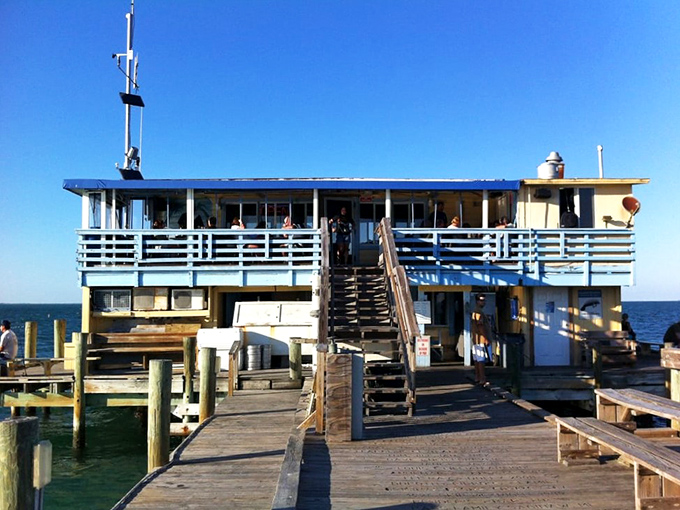 Rod & Reel Pier Restaurant dangles over the bay like a fishing lure for hungry humans. The catch of the day was swimming nearby just hours ago.