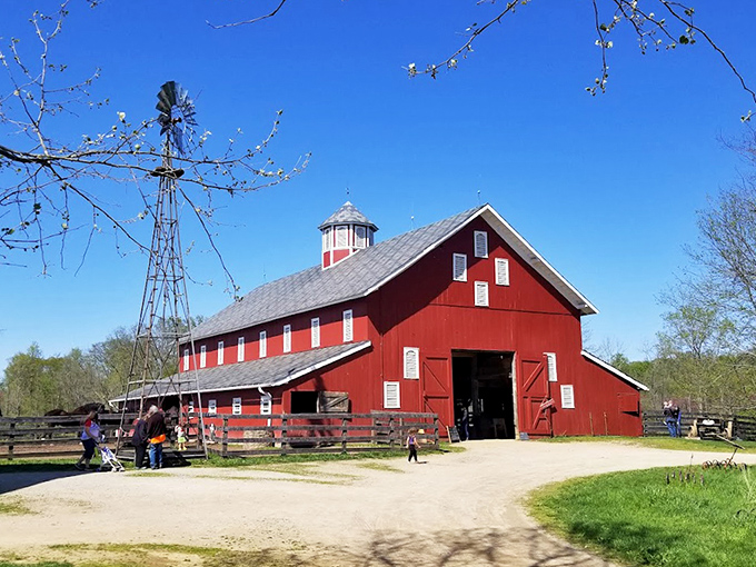 Spring at the farm brings that perfect blue sky that seems exclusively reserved for postcards and childhood memories.