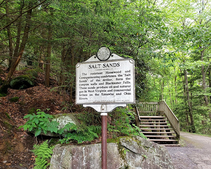 The Salt Sands marker&mdash;where geology lessons meet outdoor adventure. These ancient sandstones have stories to tell for those willing to listen.